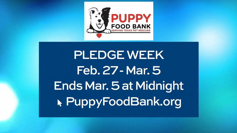 11cdb8a0-7526-45b4-97ff-a2ea2b8224d3-large16x9_PUPPYFOODBANK.JPG ...