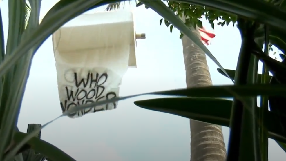 5e6e5cac-9948-4255-bc85-729f033ecebc-large16x9_toiletpaper.PNG ...