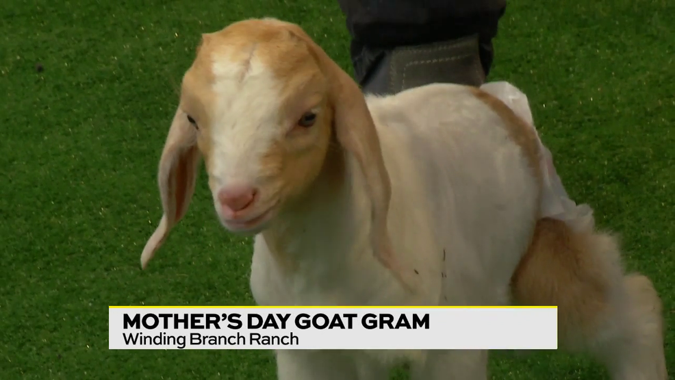 6c48f9ea-50fc-421e-862c-f9388a525ebb-large16x9 ...