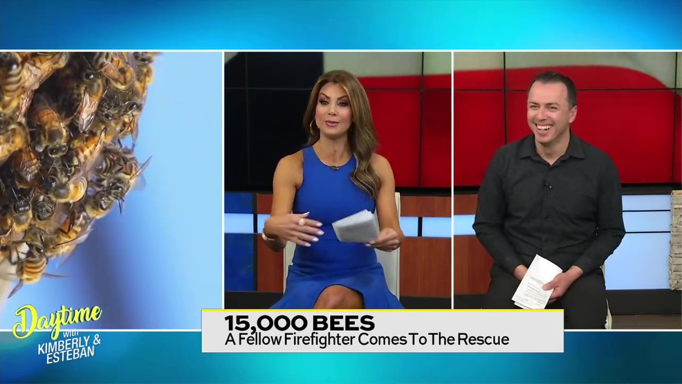 a61f9cb3-70a4-4a7b-a6ee-54b7dbb24cfe-large16x9 ...