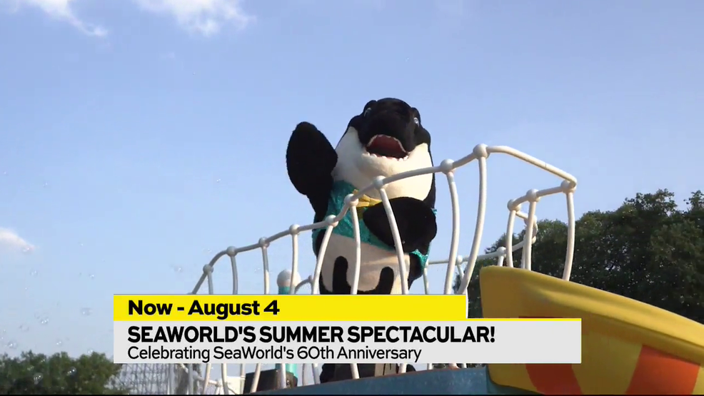 c093492a-258d-410a-a2a7-99e2ff81ce5c-large16x9 ...