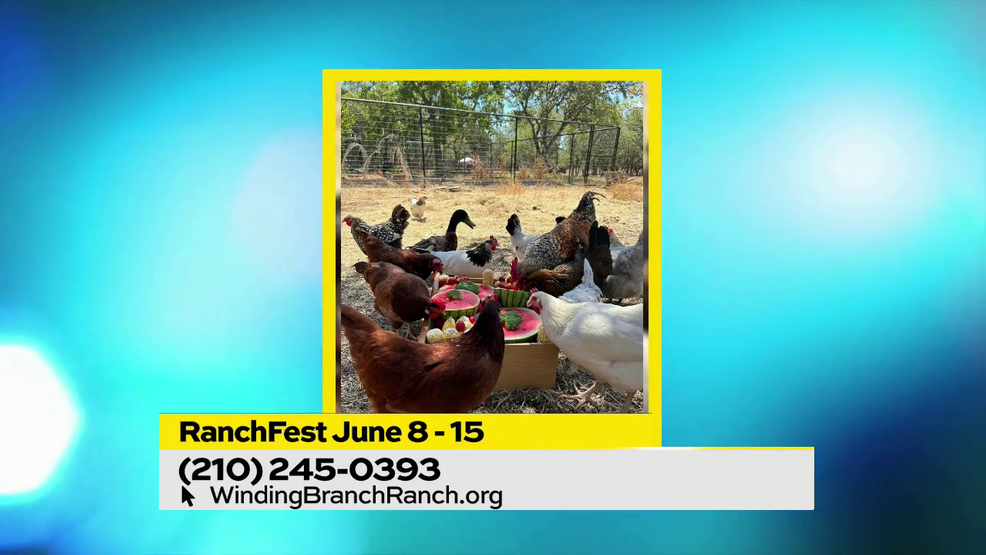 dacaefee-860d-4290-bc6d-fbe761f71808-large16x9 ...